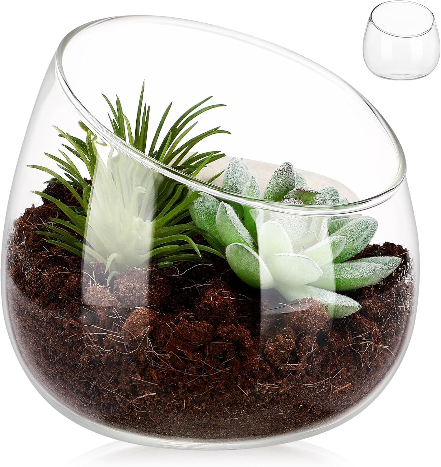 Liho 1pc Glass Terrarium Jar Terrarium Containers Glass Succulent ...