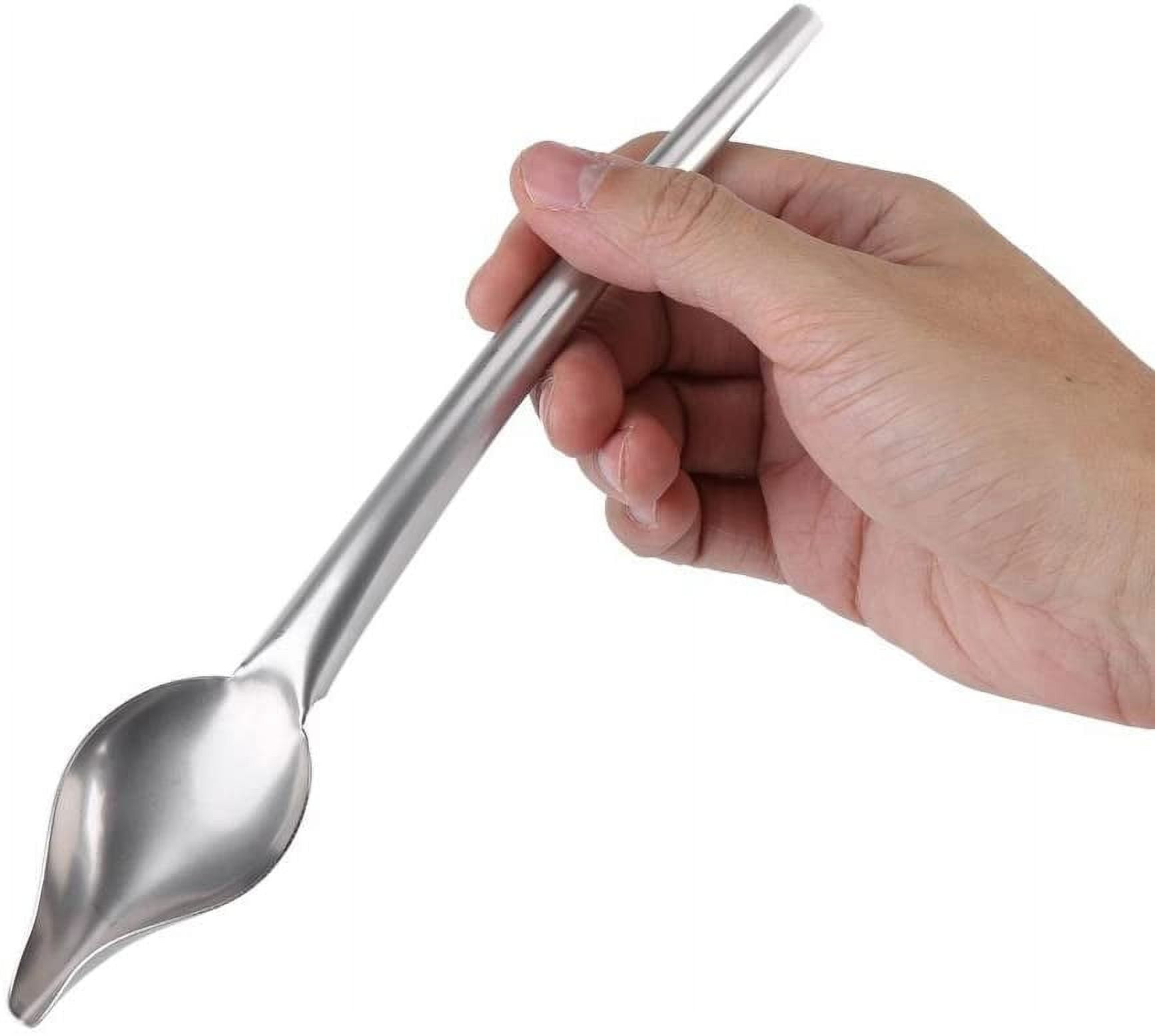 Liho Wilton Drizzling Spoon, Stainless Steel Saucier Drizzle Spoon with ...