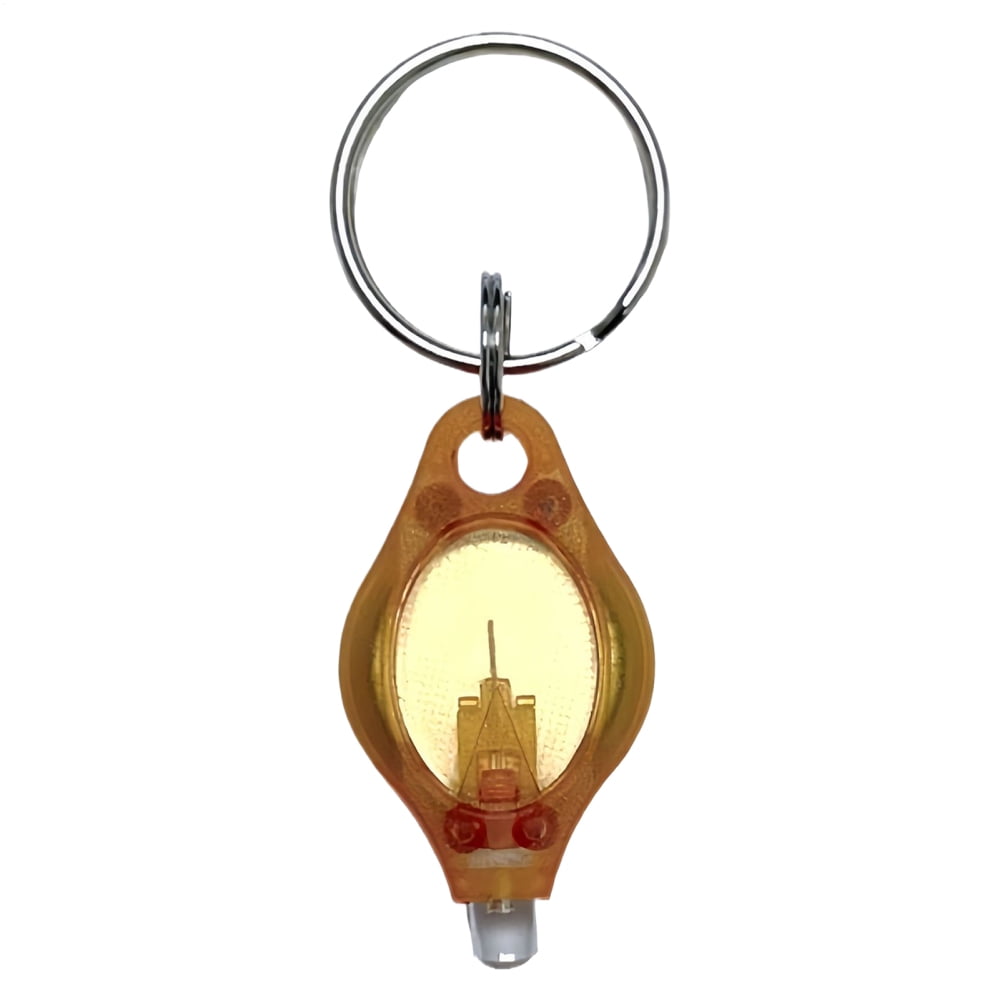 Liilaimic Keychain Light Mini UV LED Keychain Flashlight Portable ...