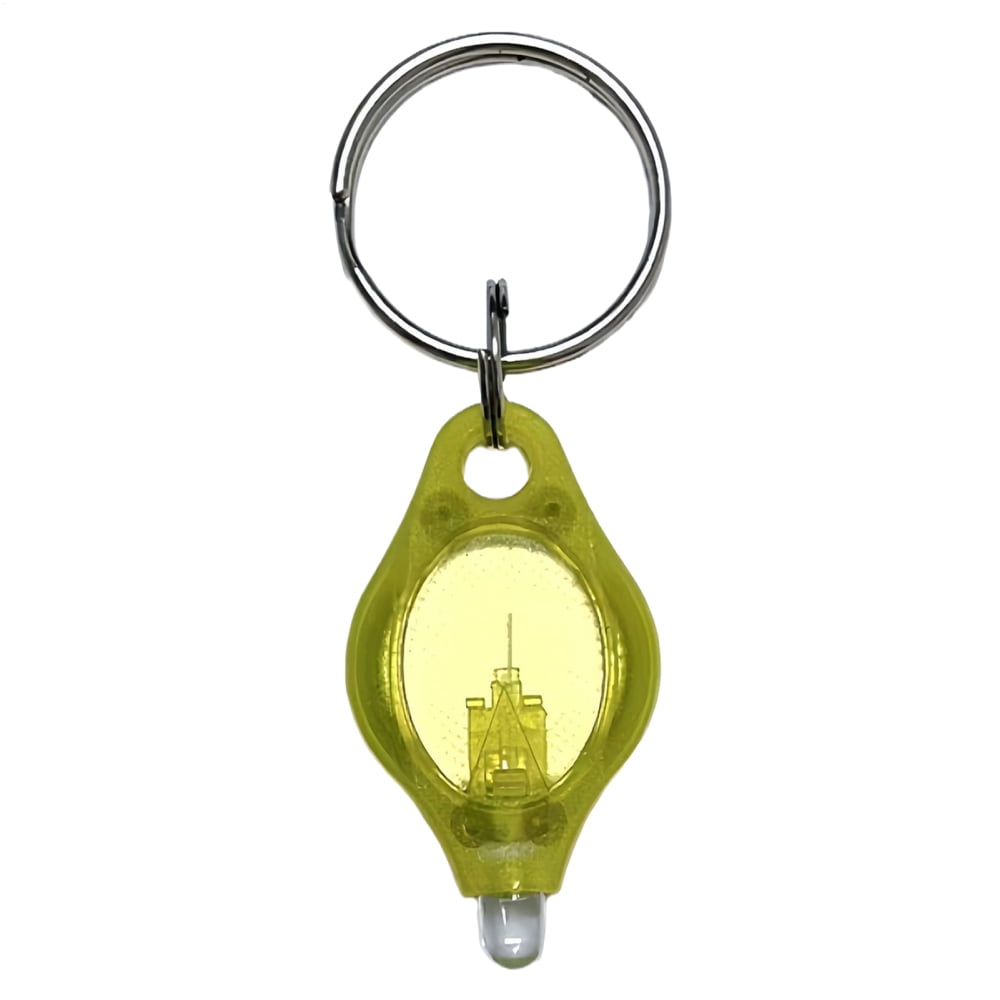 Liilaimic LED Keychain Battery Powered Fluorescent Torch Portable ...