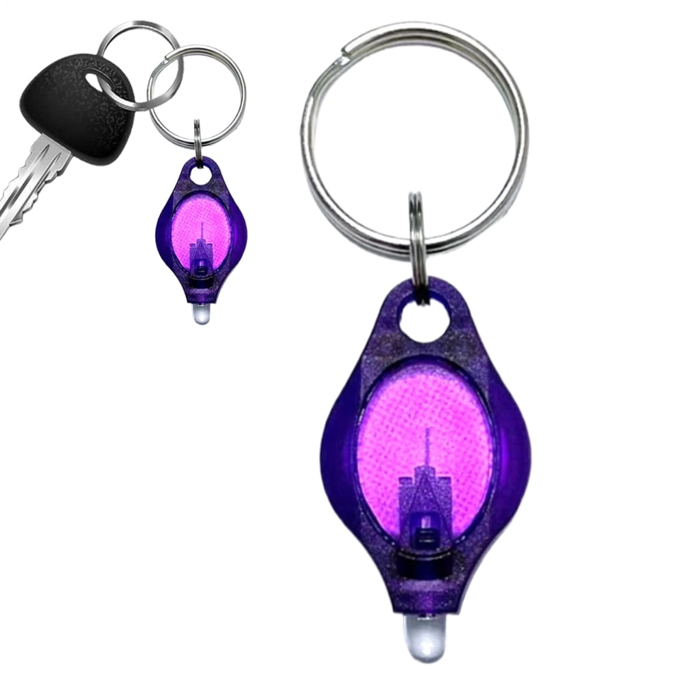 Liilaimic LED Keychain Flashlight Battery Powered Fluorescent Torch ...