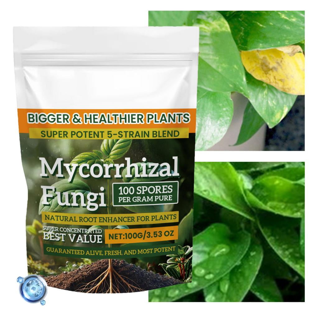 Liilaimic Plant Fertilizer Powder 100g Plant Growth Fertilizer Nutrient ...