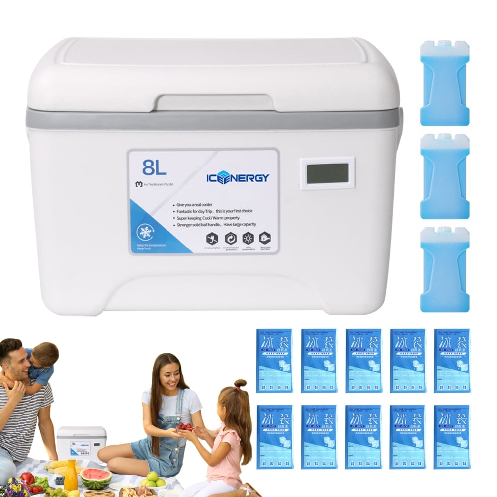 Liilaimic Small Cooler 8L Outdoor Lunch Breastmilk Thermal Box ...