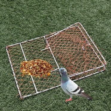 Outdoor Songbird Essentials 30in Bird Seed Catcher for Wild Bird ...