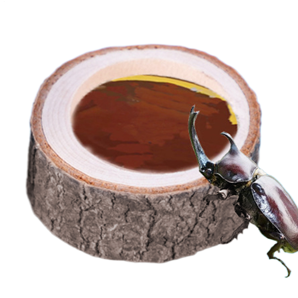 Liilaimic Turtle Food Bowl Reptile Water Dish Wood Grain Cup Feeding ...