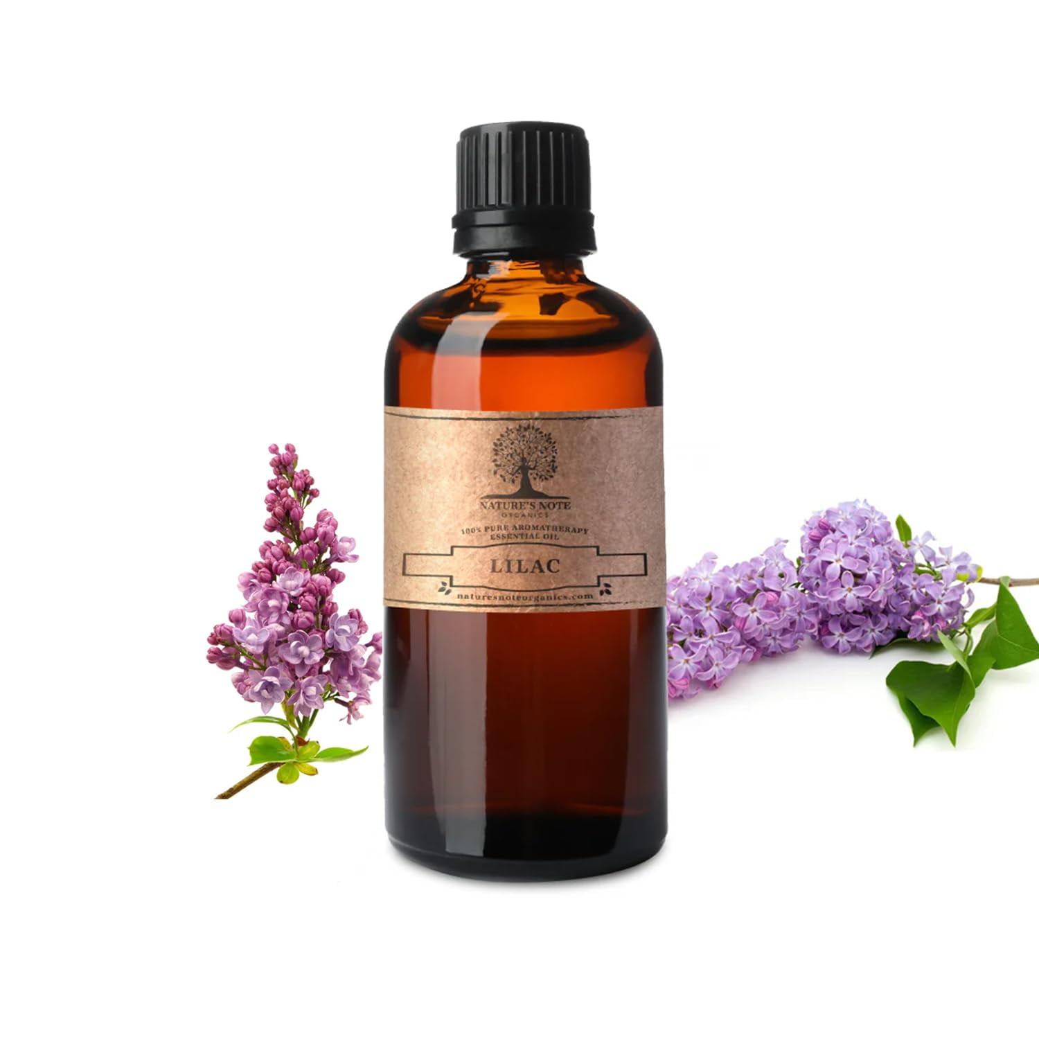Lilac - 100% Pure Aromatherapy Grade Essential oil by Nature's Note ...