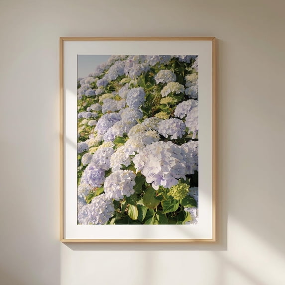 Lilac Hydrangeas Spring Floral Garden Photography - Walmart.com