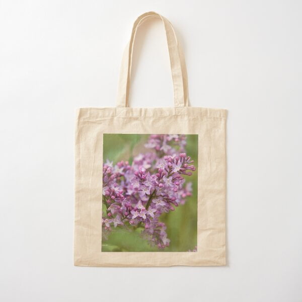 Lilacs, Purple, Lilac, Flowers, Purple Lilacs, Beautiful, Flower ...