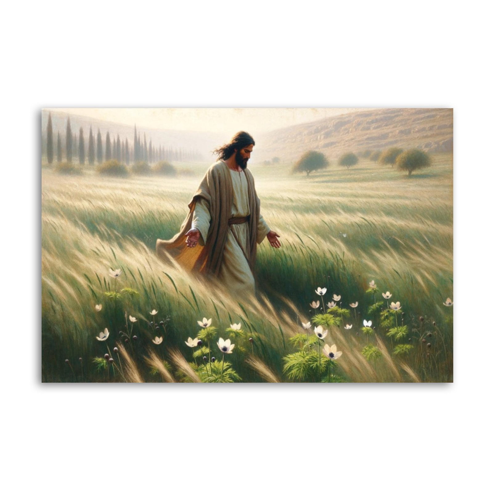 Lilies of The Field Jesus Christ Walking through A Field of Wild Lilies ...