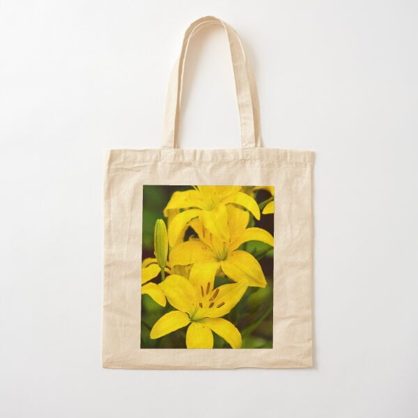 Lilies, Yellow Lilies, Lily, Flower, Botanical, Spring, Daylilies ...