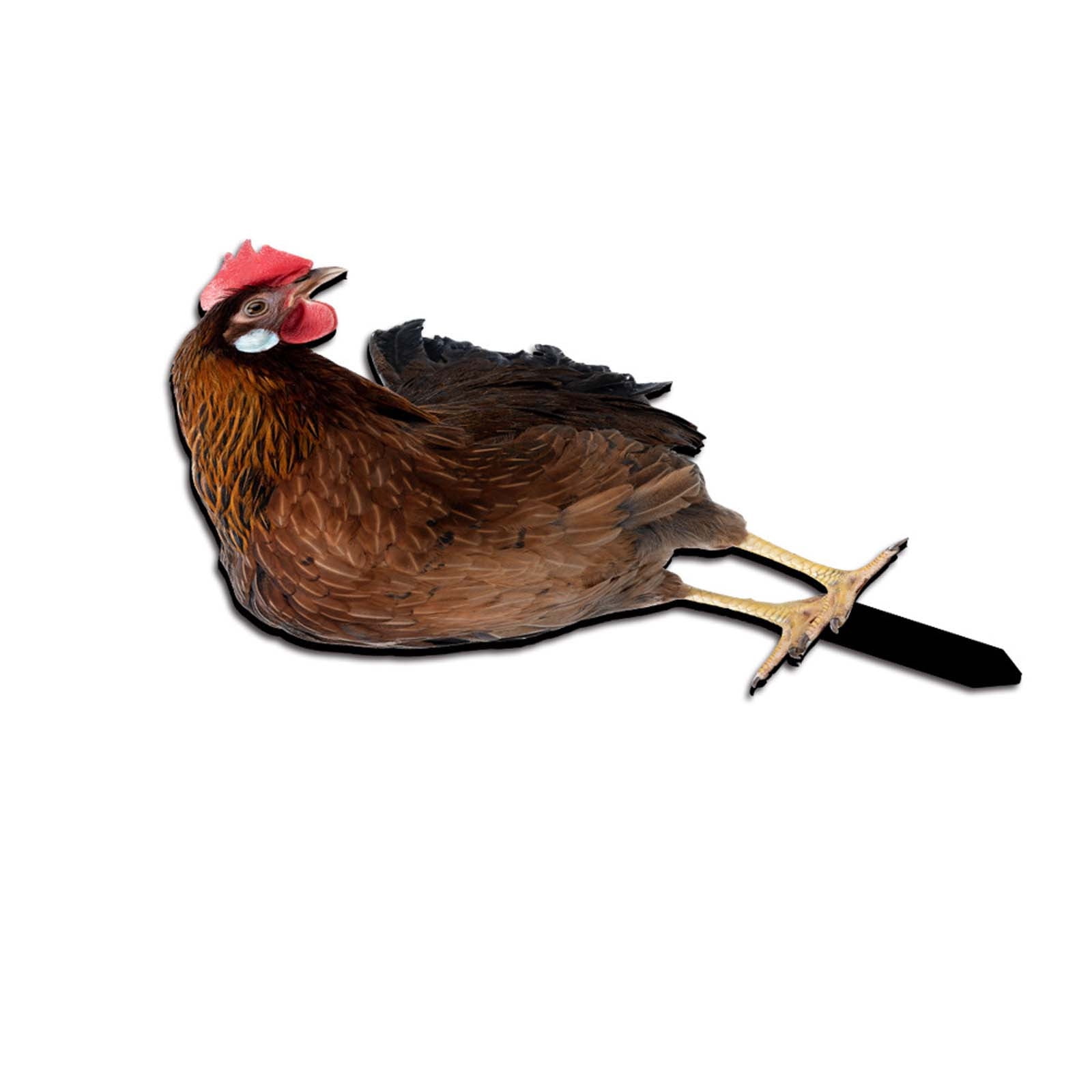 Lilixerw Clearance Acrylic Rooster Yard Chicken,Realistic Hen Garden ...
