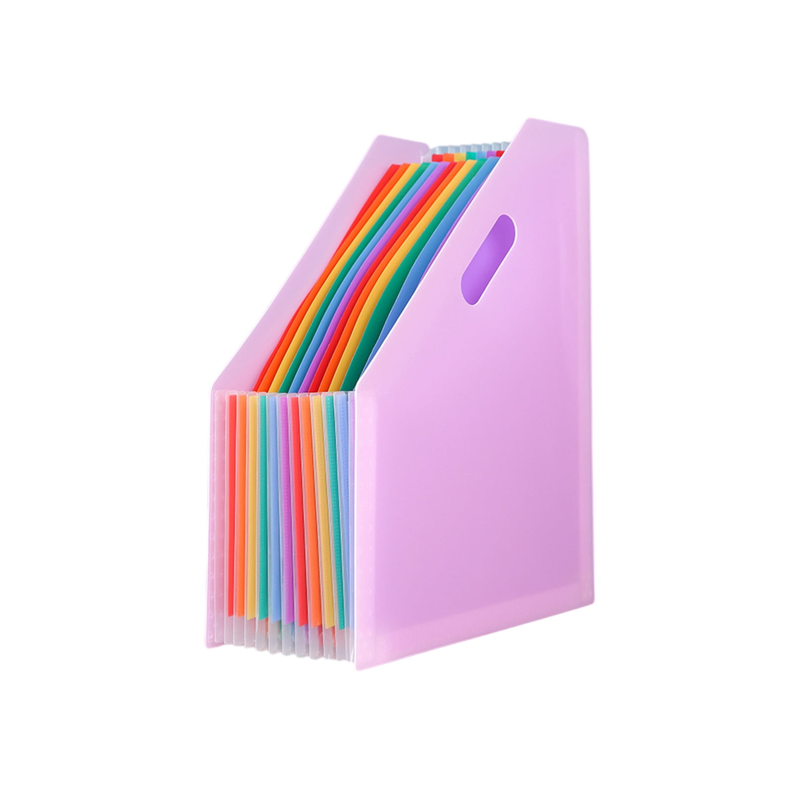 Lilixerw File Organizer for Desk,with Multi-Compartment Design,A4 Large ...