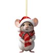 Lilixerw 2025 Resin Christmas Ornament,with Santa Claus Pattern,Funny ...
