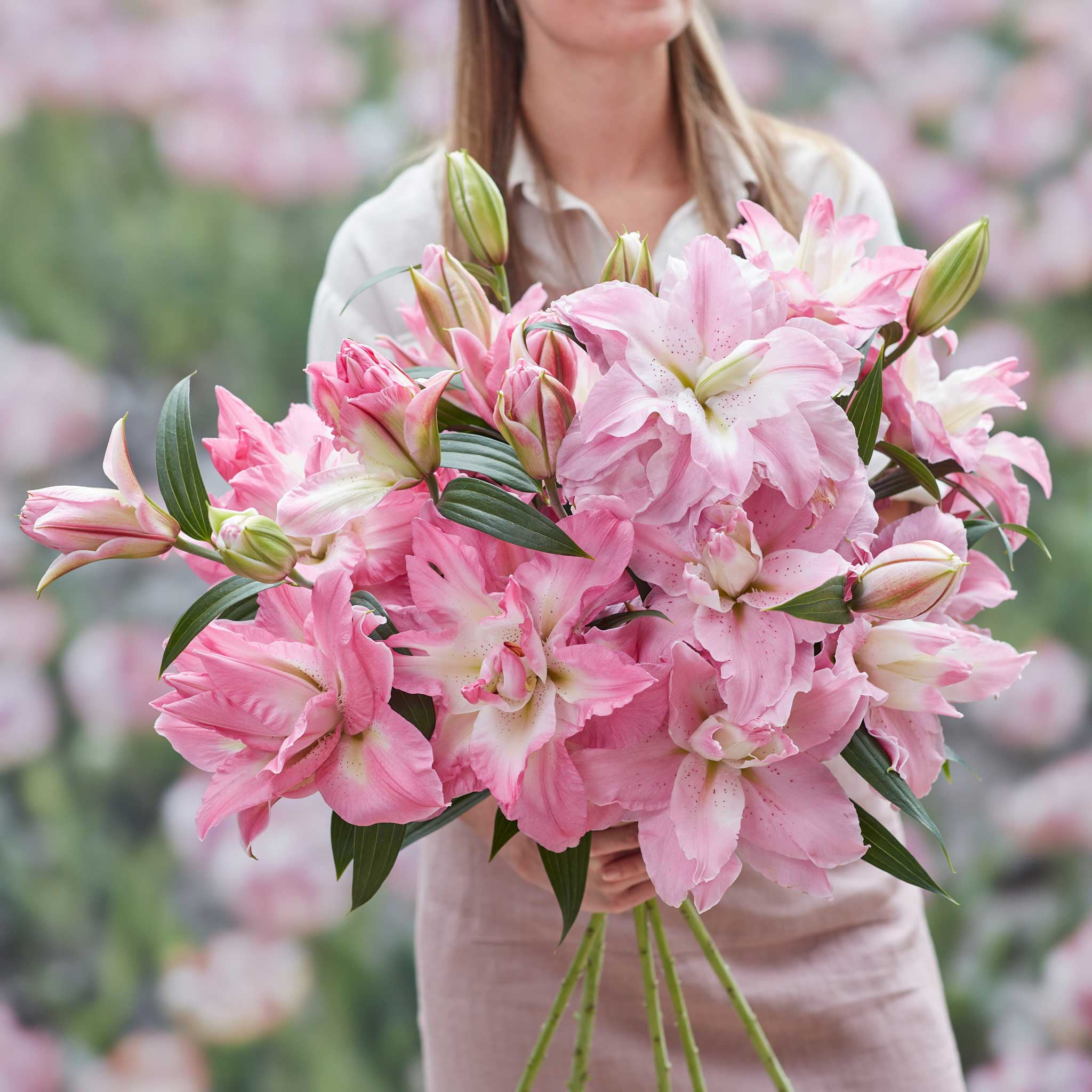 Eden Brothers Lily Bulbs - Double Pink Mix - Walmart.com