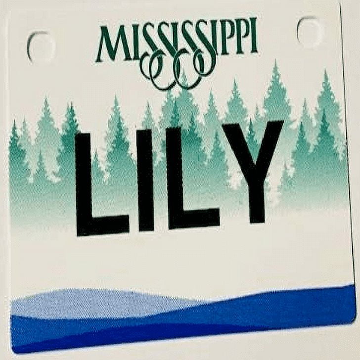 Lily Mini Bike Plate Add On Accessory - Walmart.com
