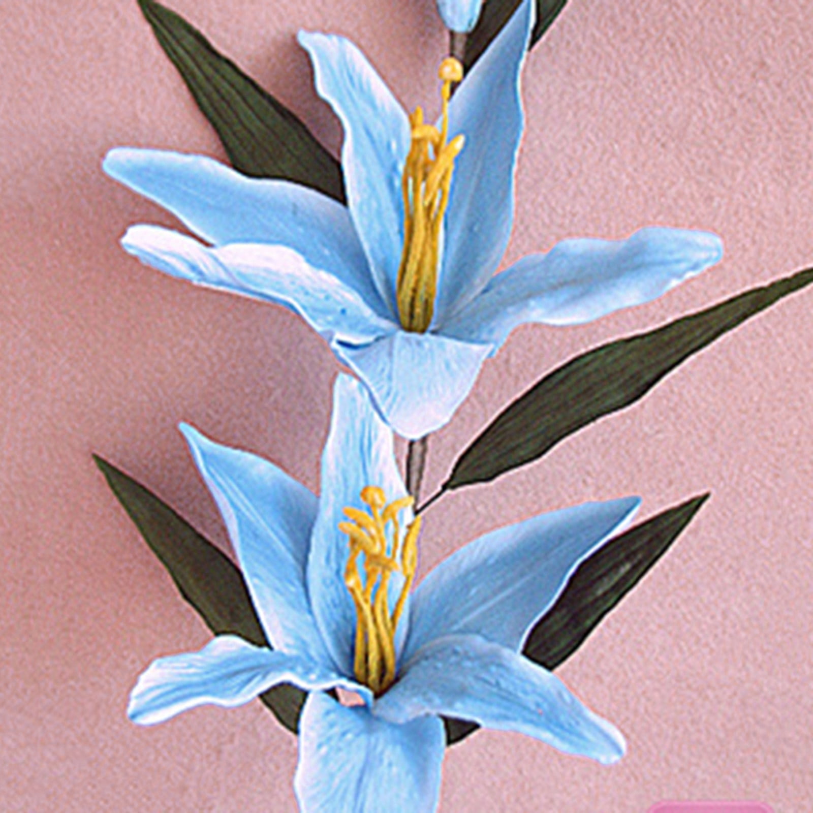 Lily Plant, Large Blooms, Lily For Planting, Rhizome Easy to Grow ...