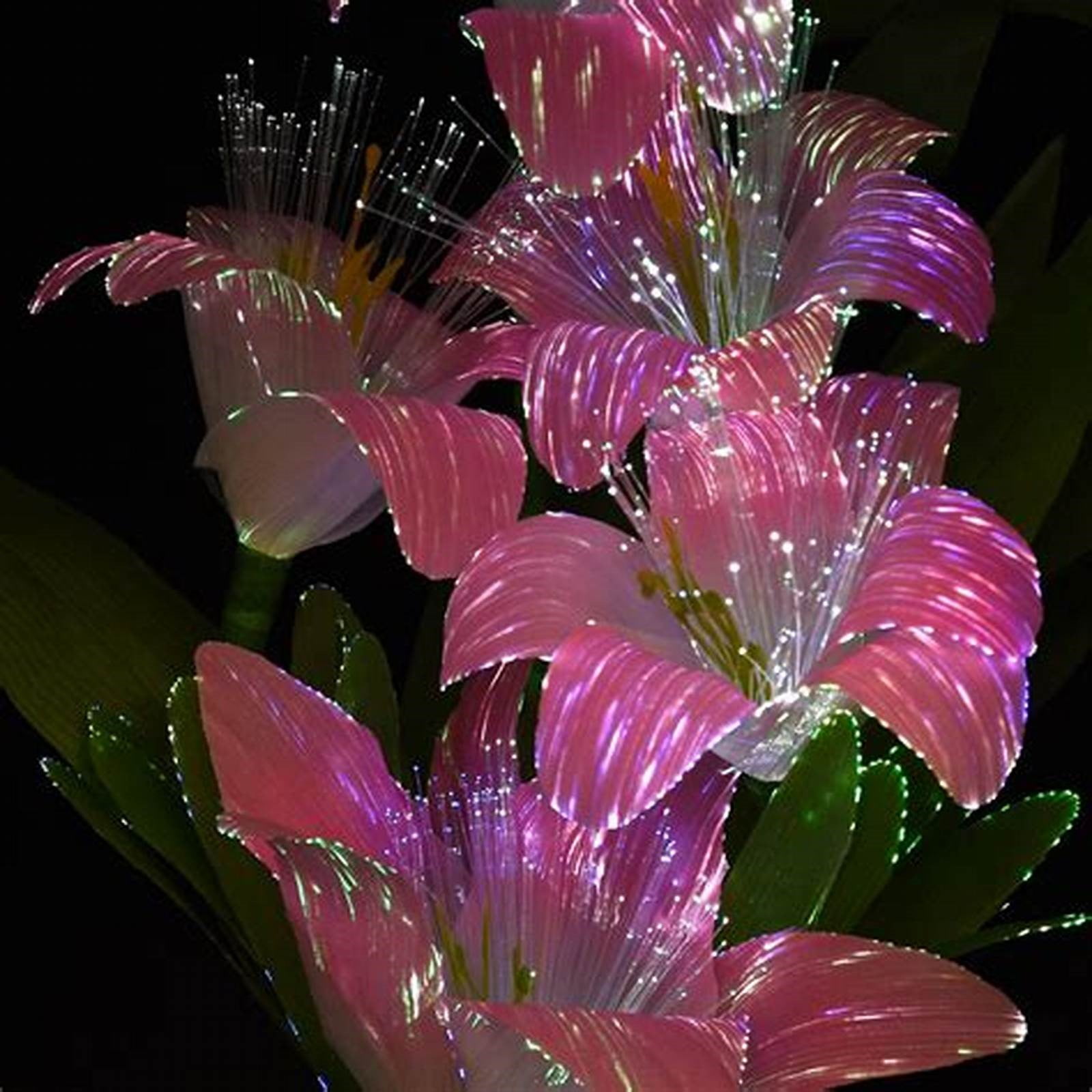 Lily For Planting Outdoors,Lily Perennial,Exquisite,Surprise Lily ...