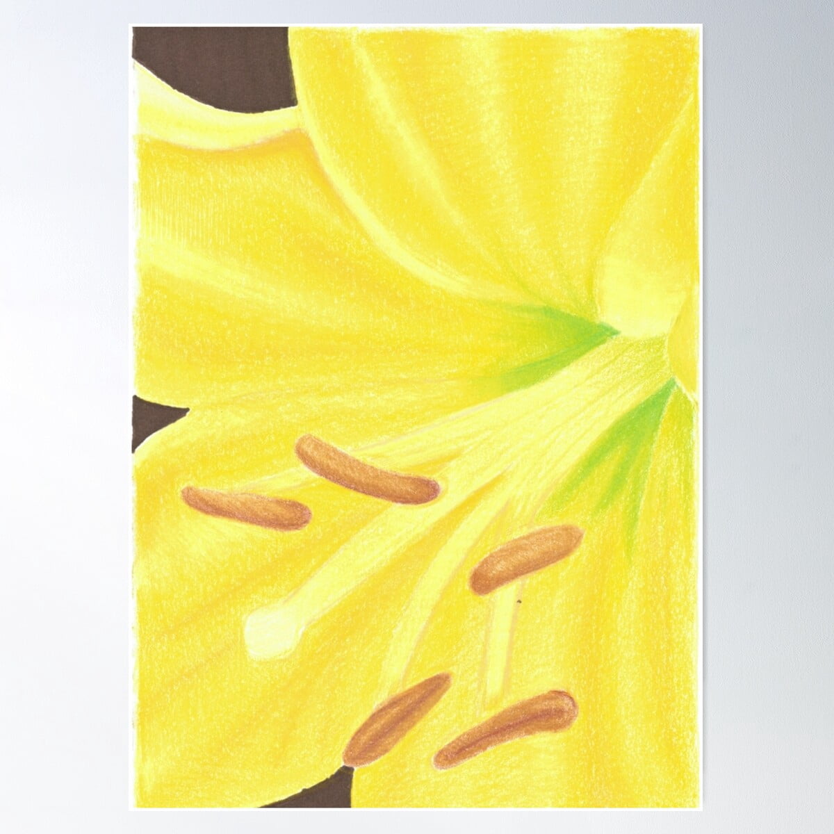 Lily Poster Wall Art, Modern Wall Decor For Living Room Bedroom, 16x24 ...