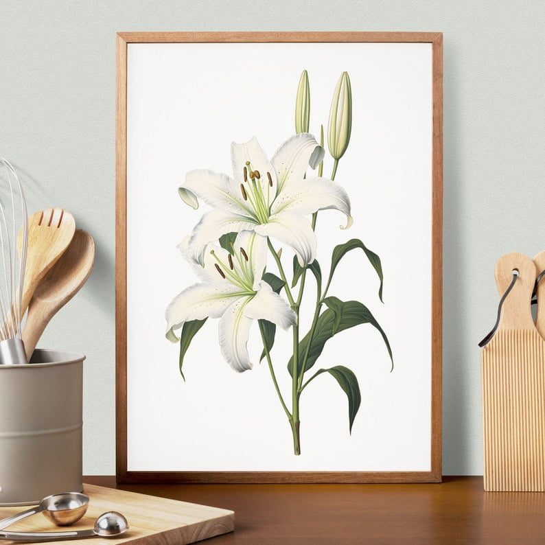 Lily Print, Floral Print, Flower Print, Botanical Print, Lily, Wall ...