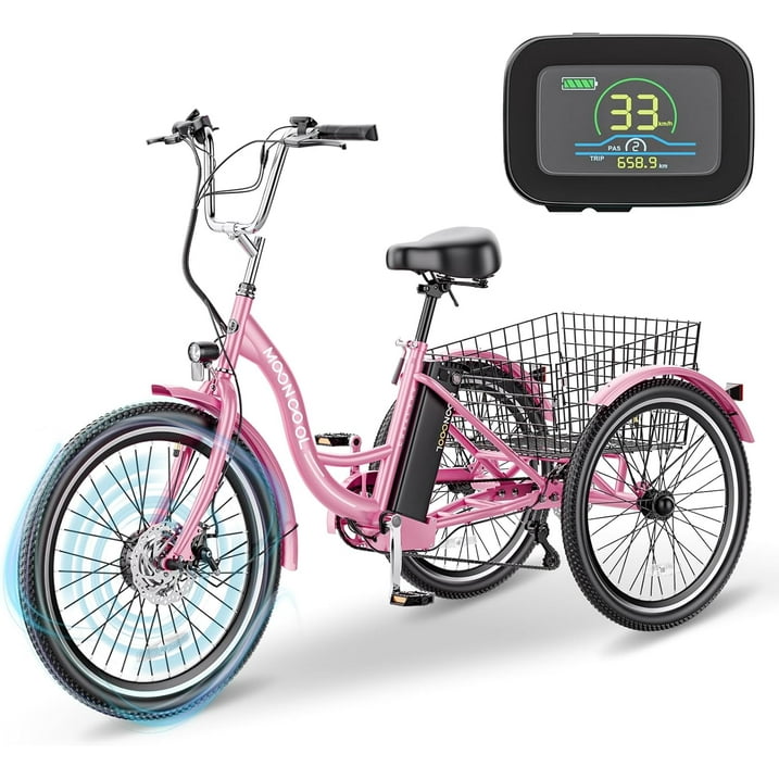 VIRIBUS 24 Inch Electric Trike Bike for Adults 250w 36V 3 Wheel ...