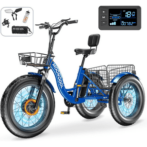 Electric Trike