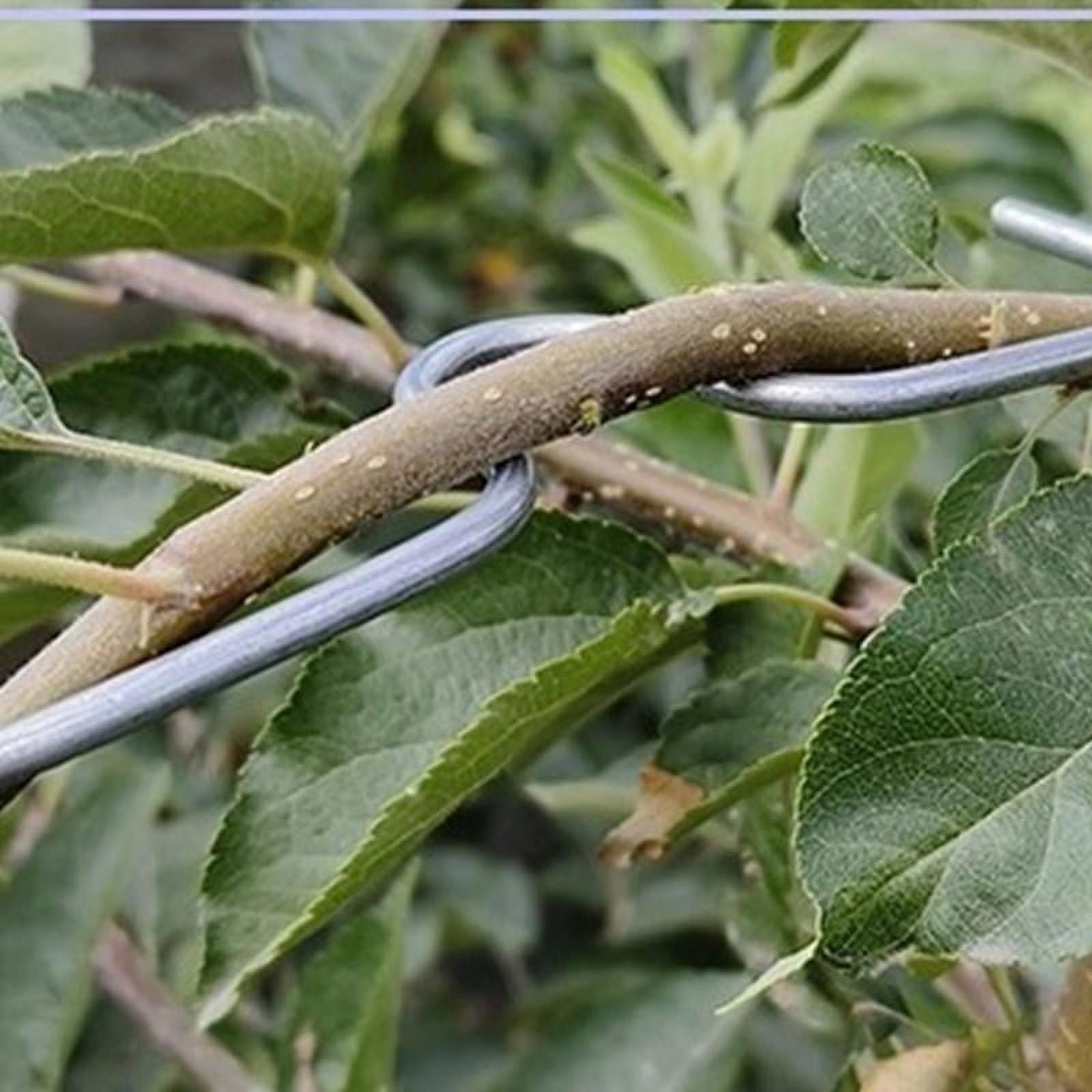 Limb Spreaders for Fruit Trees 20PCS Metal Tree Puller Tool Multi ...