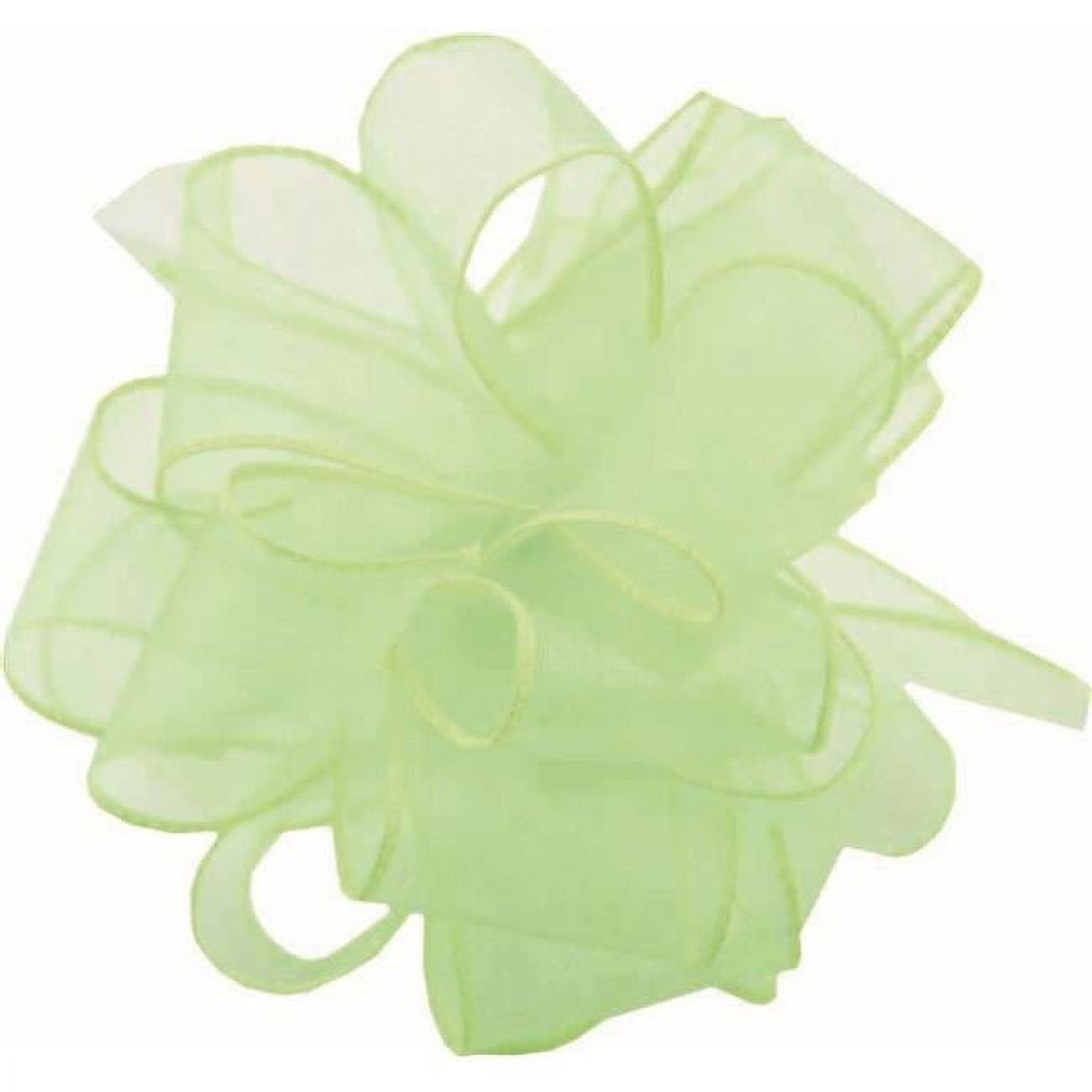 Lime Green Spring Sheer Wired Ribbon - Walmart.com