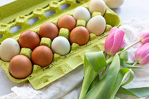 Lime Green Tint Colored Blank 12-Egg View Top Paper Pulp Carton (50 ...