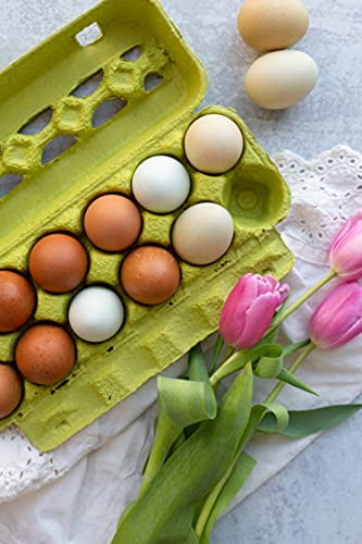 Lime Green Tint Colored Blank 12-Egg View Top Paper Pulp Carton (50 ...