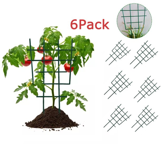 Limei 6 Pack Plant Climbing Trellis Supports, DIY Garden Mini ...