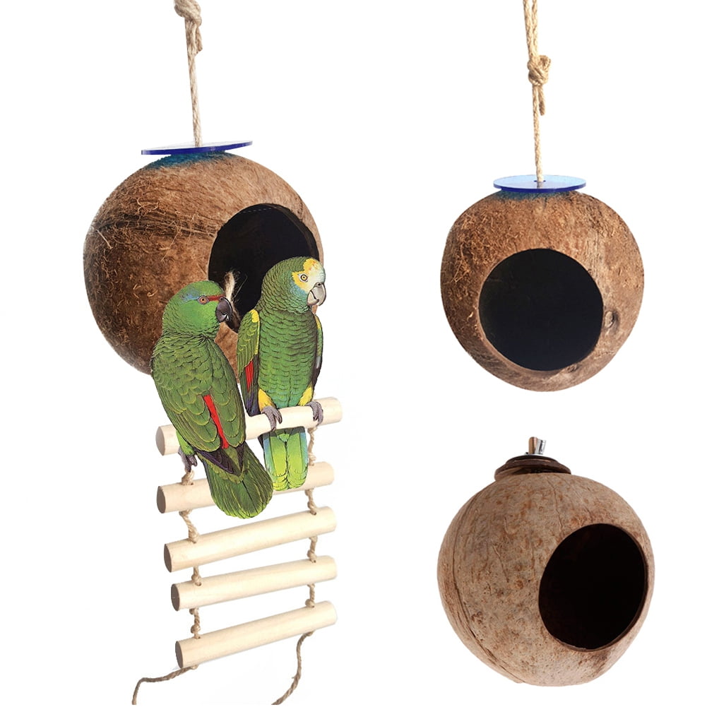 Limei Hanging Bird House with Ladder, Natural Coconut Fiber Shell Bird ...