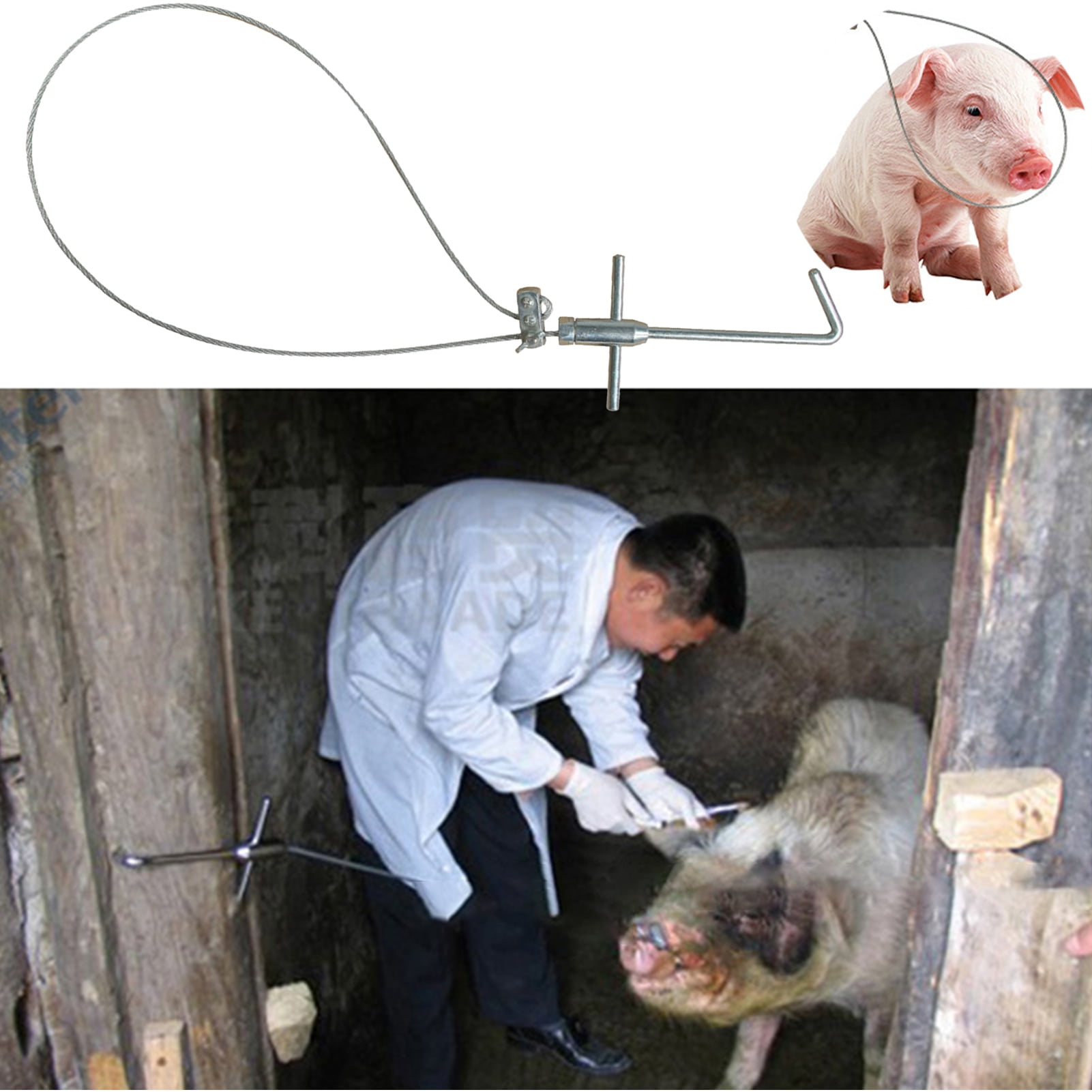 Limei Stainless Steel Animal Piglet Catcher Pole Pig Holder Snare ...