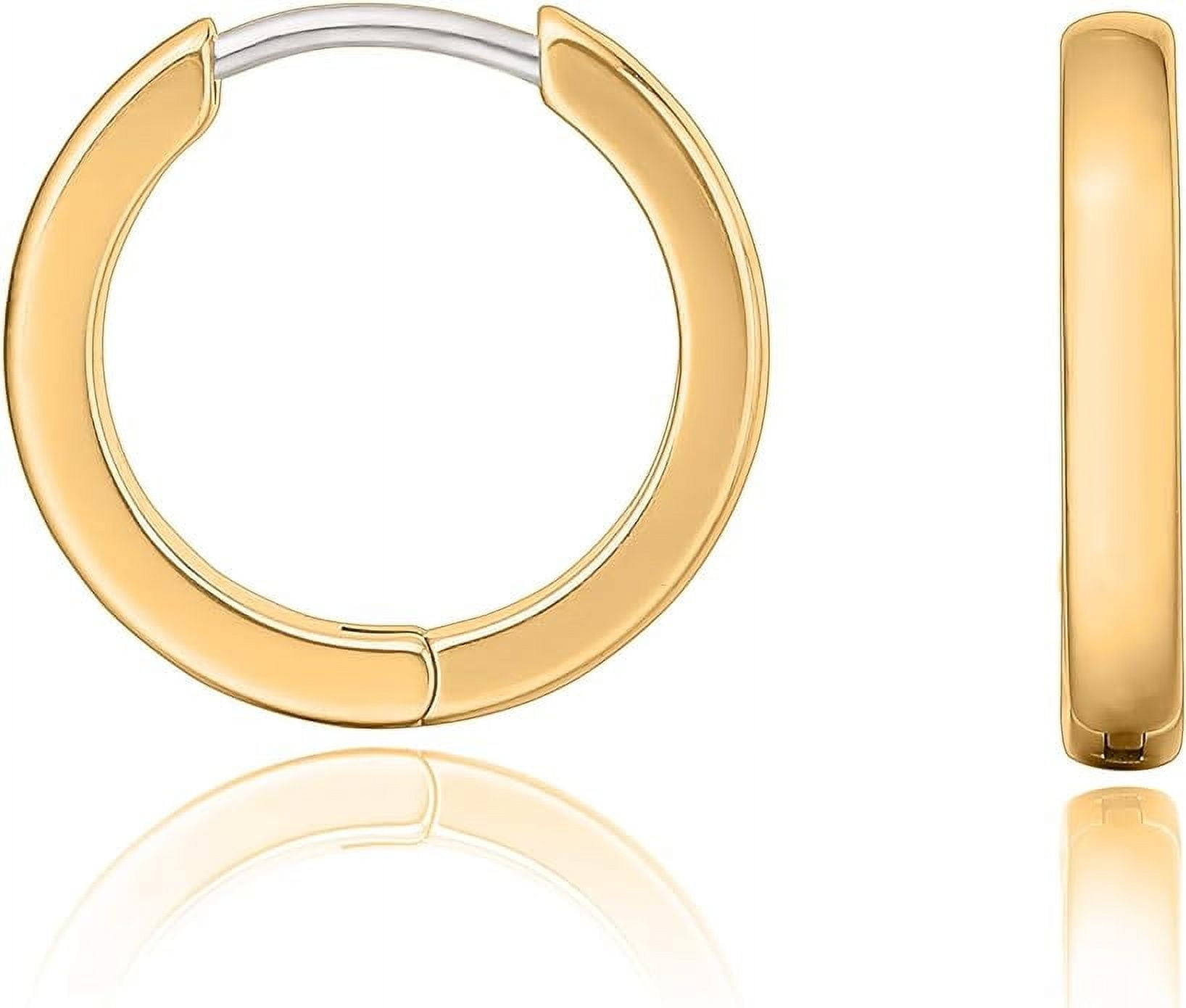 Limerencia G23 Pure Titanium Hypoallergenic Hoop Earrings for Women ...