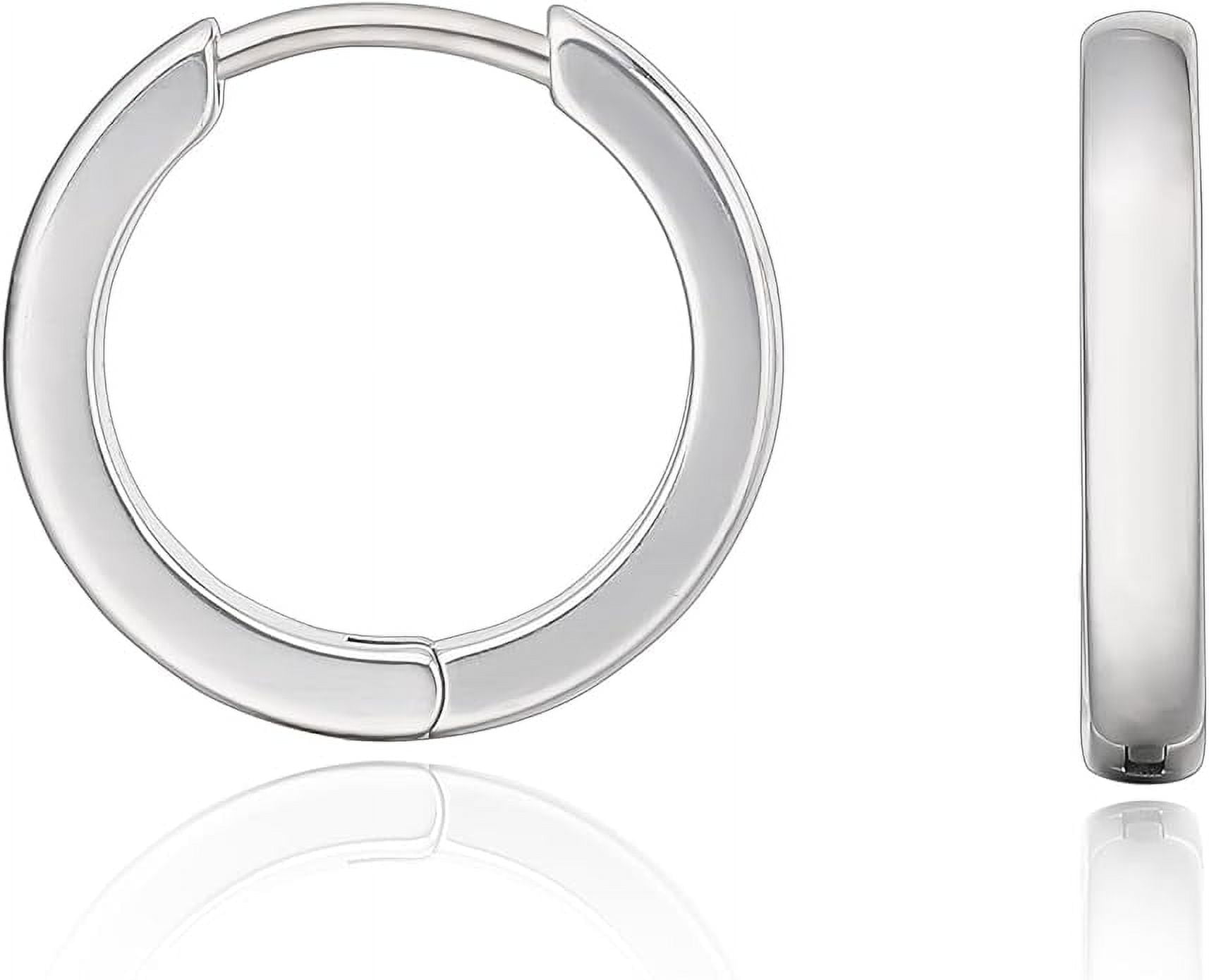 Limerencia G23 Pure Titanium Hypoallergenic Hoop Earrings for Women ...