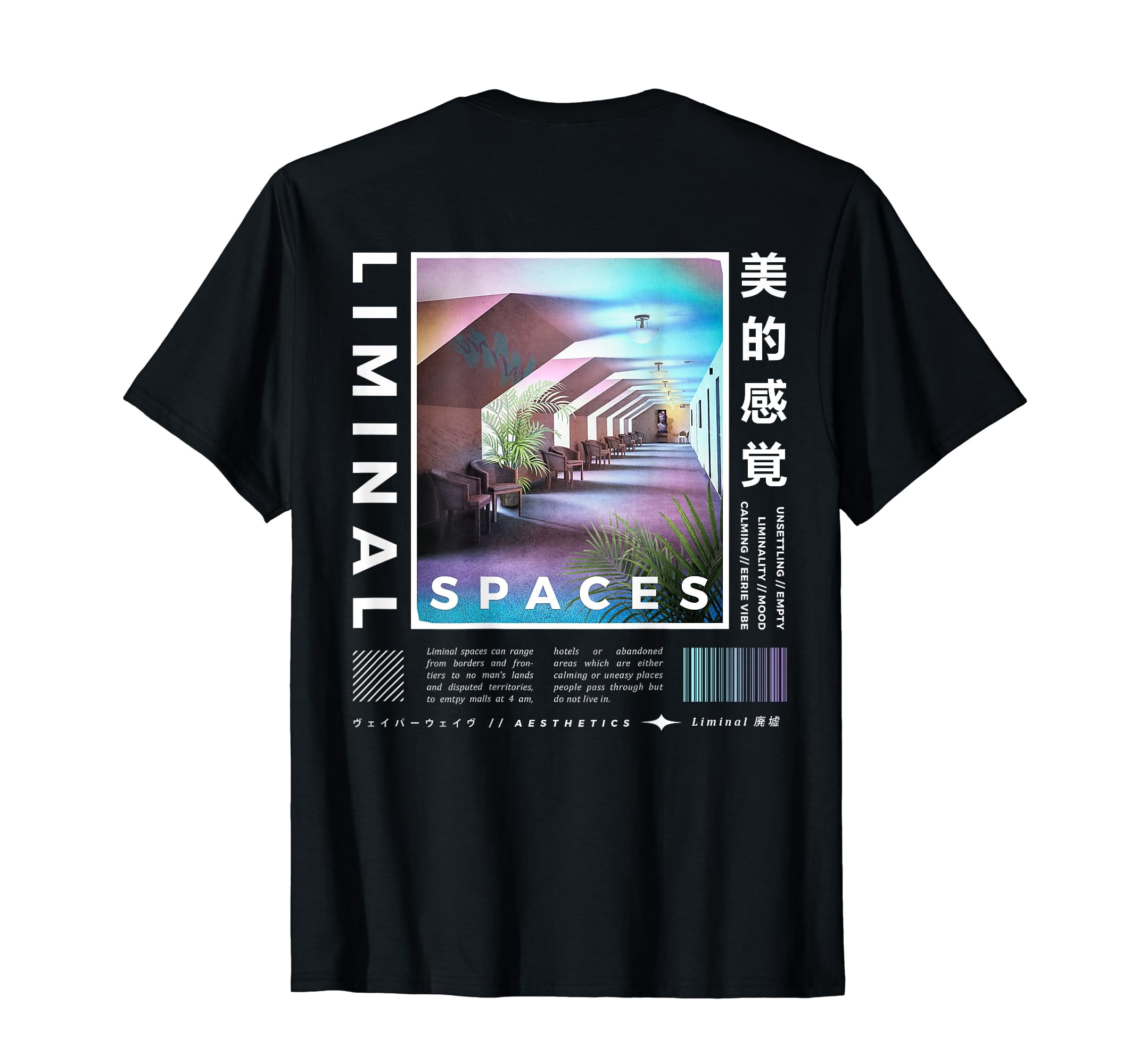 Liminal Spaces (BackPrint) Vaporwave Backrooms Pastel Goth T-Shirt ...