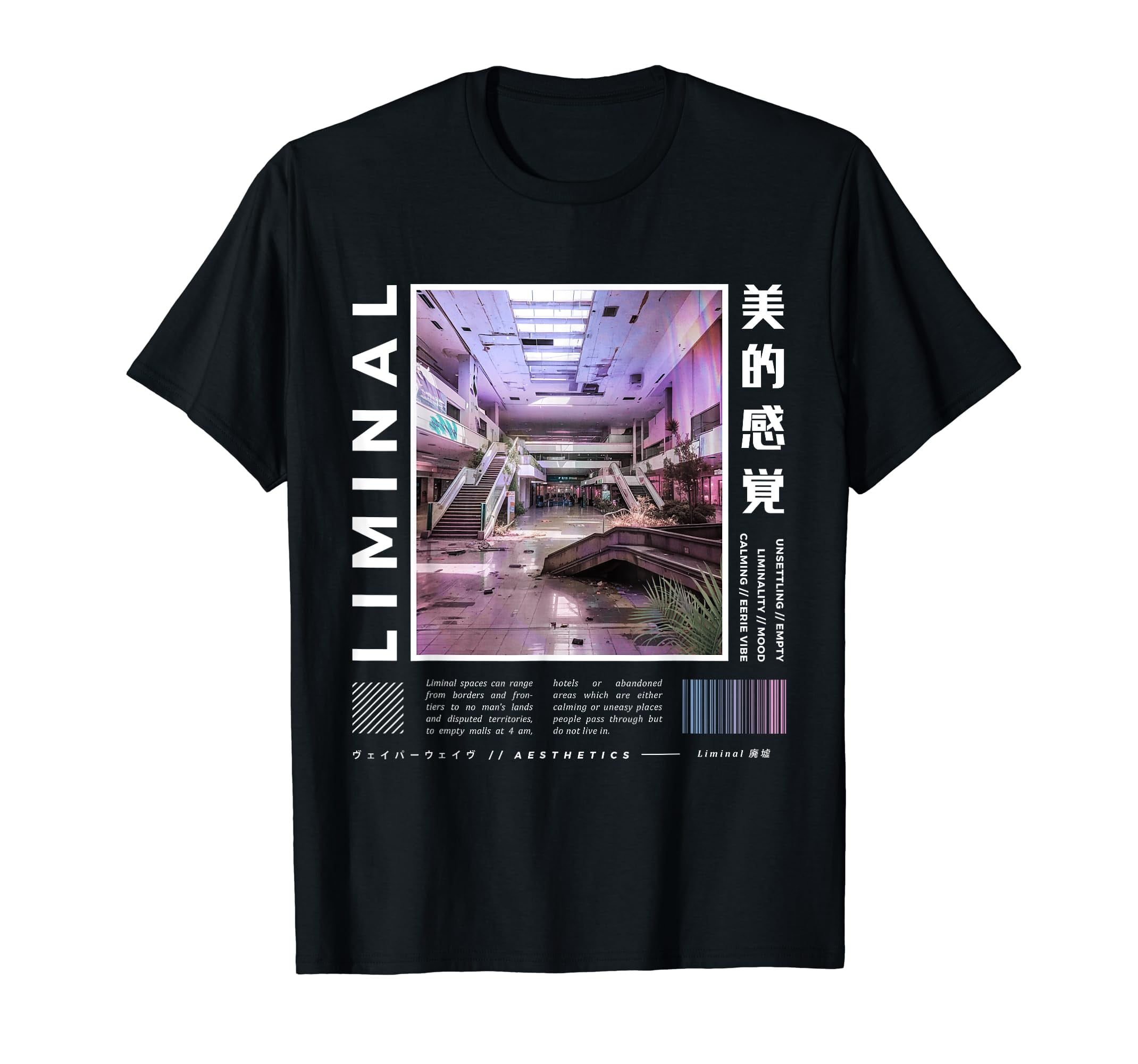Liminal Spaces Retro Internet 80s & 90s Backrooms Vaporwave T-Shirt ...