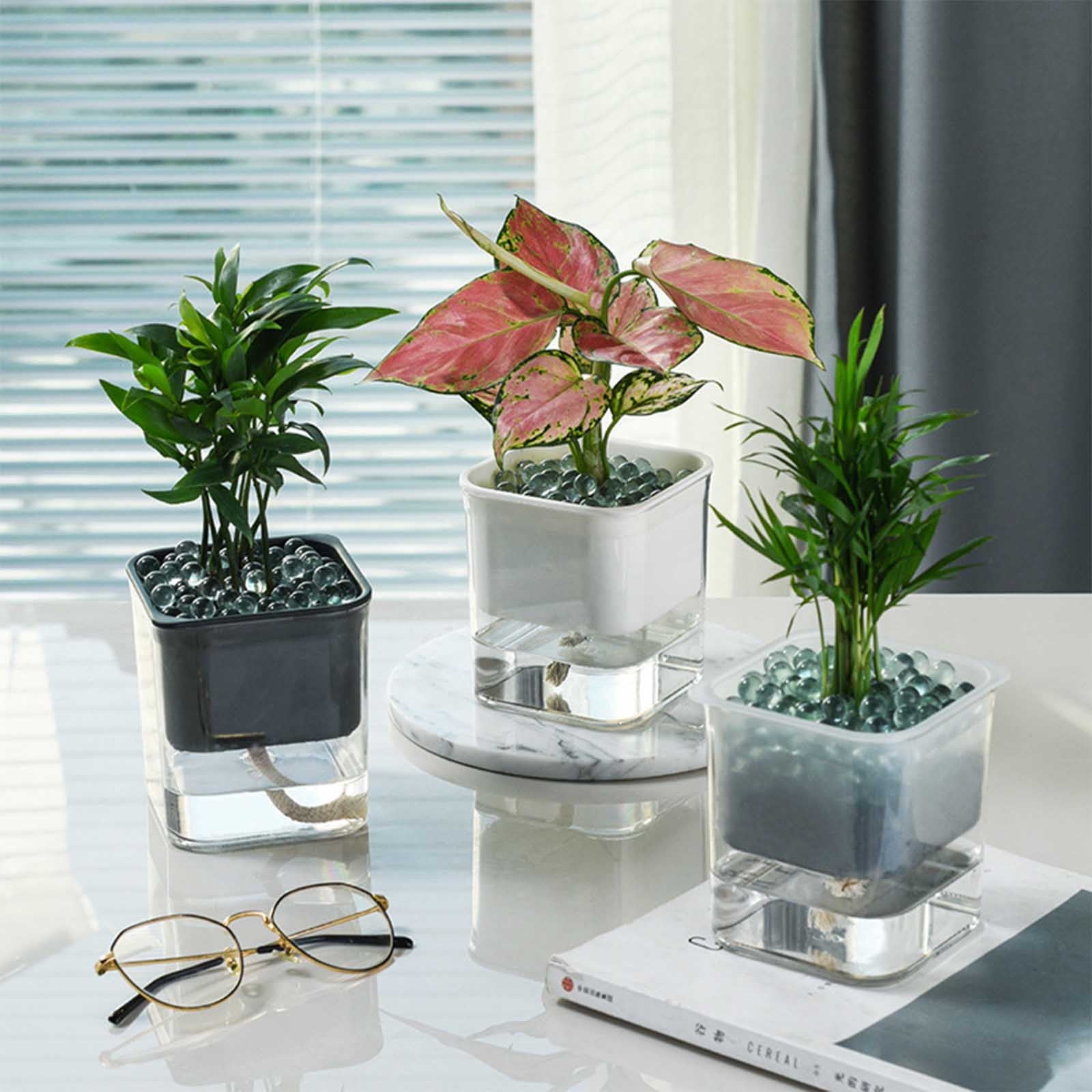 Limited Edition, Vsgery Transparent Water Absorption Squares, Ideal for ...