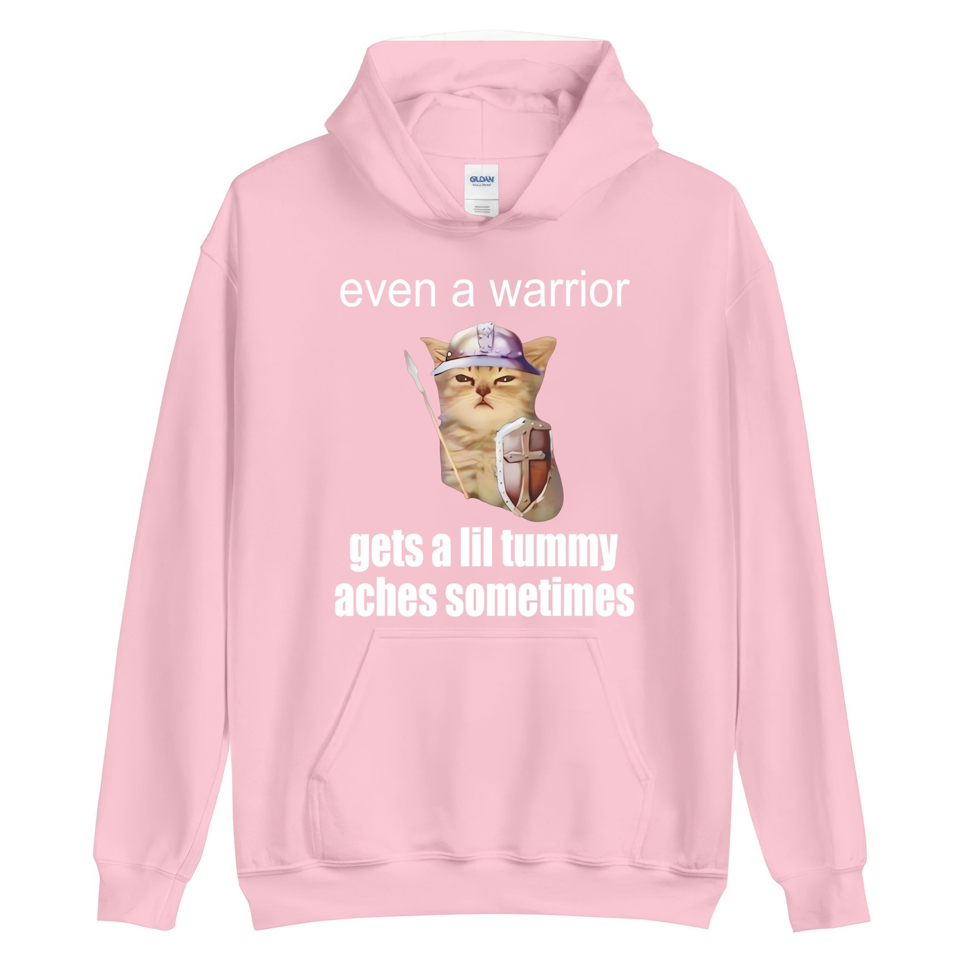 Limited Edition Cat Even A Warrior Gets A Lil Tummy Aches Sometimes ...