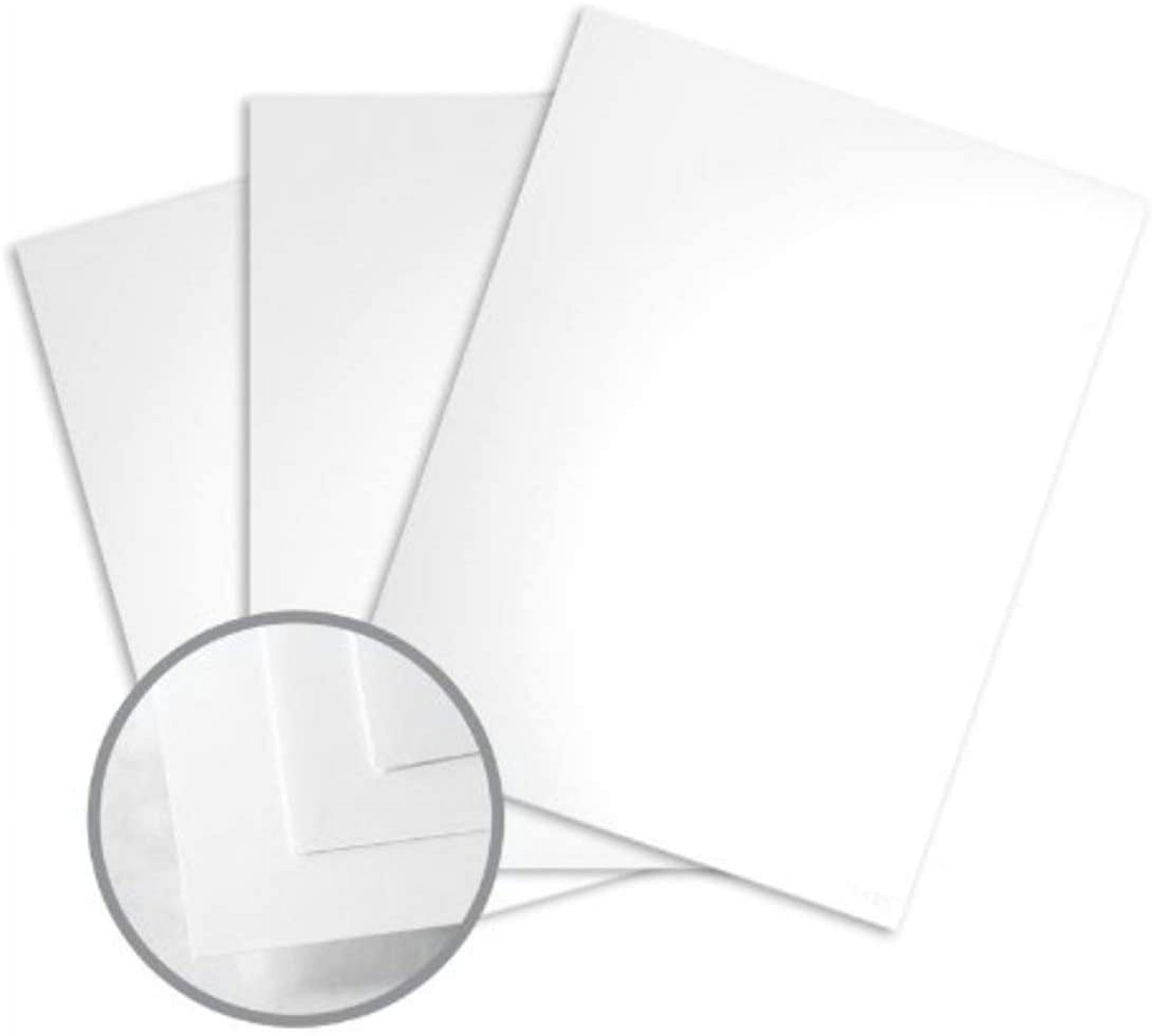 Limited Papers (TM) Blazer Digital Gloss, 100lb Text Paper, 12x18 Inch ...
