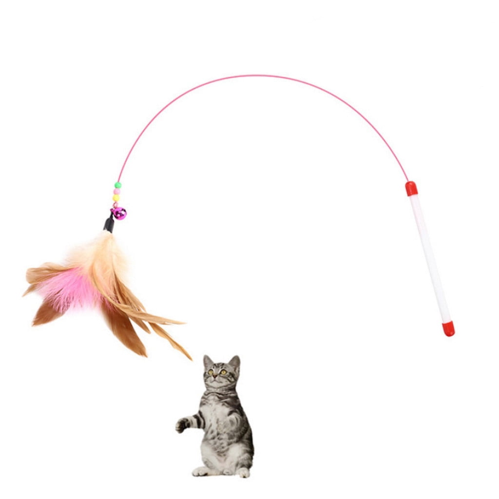 Limited Time Only! Dangler Wand Teaser Rod Pet Toy, Interactive Play ...