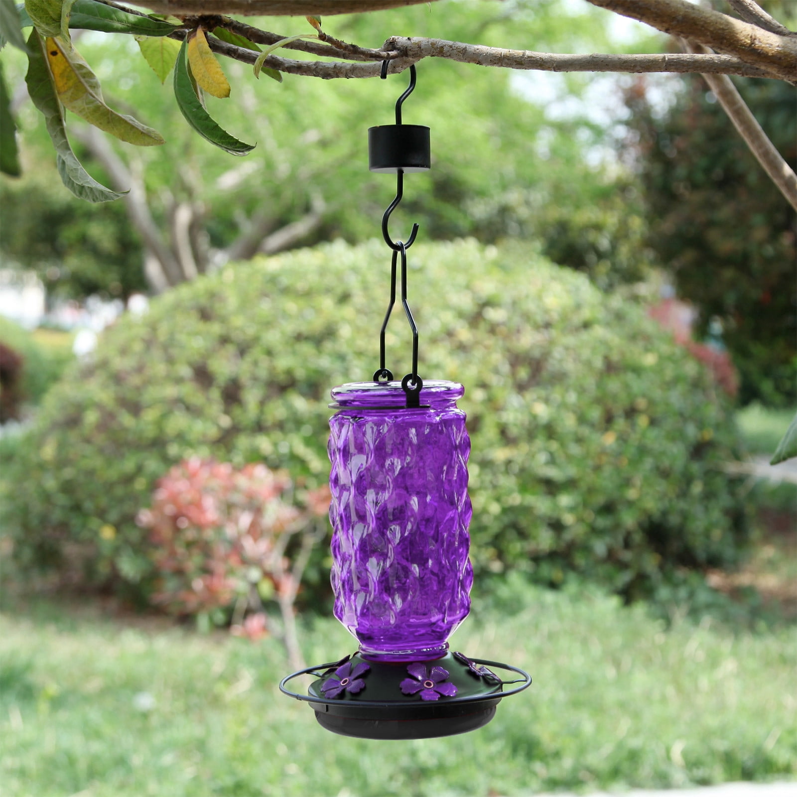 Limited Time Only! Glass Hummingbird Feeder with 5 Feeding Ports, Wide ...