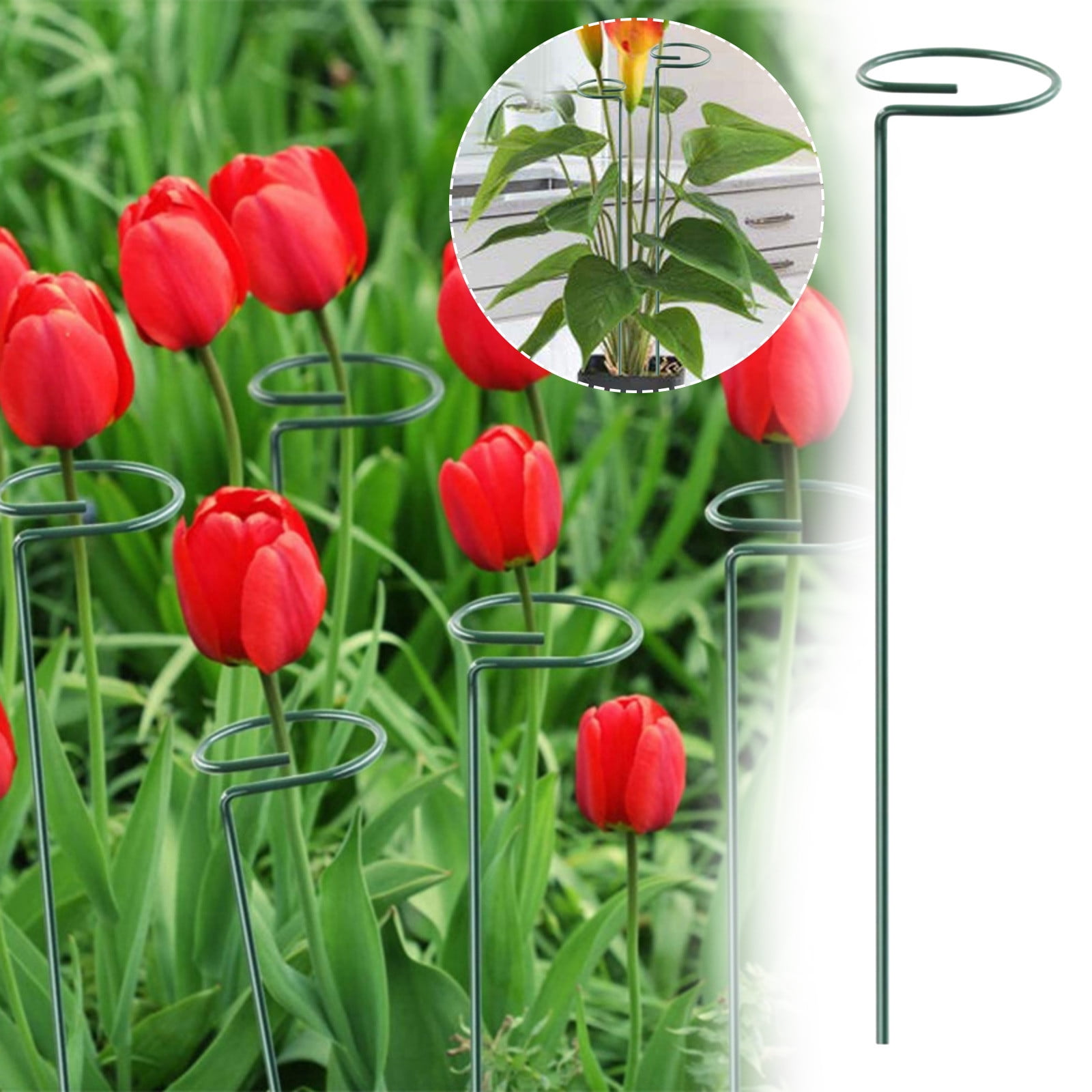Limited Time Savings,Garden Plant Bracket, Metal Circular Support Rod ...