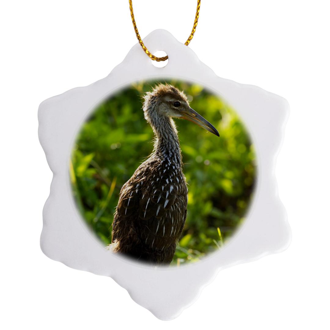 3drose, Limpkin Bird, Viera Wetlands, Florida, Usa - Us10 Mpr0513 ...