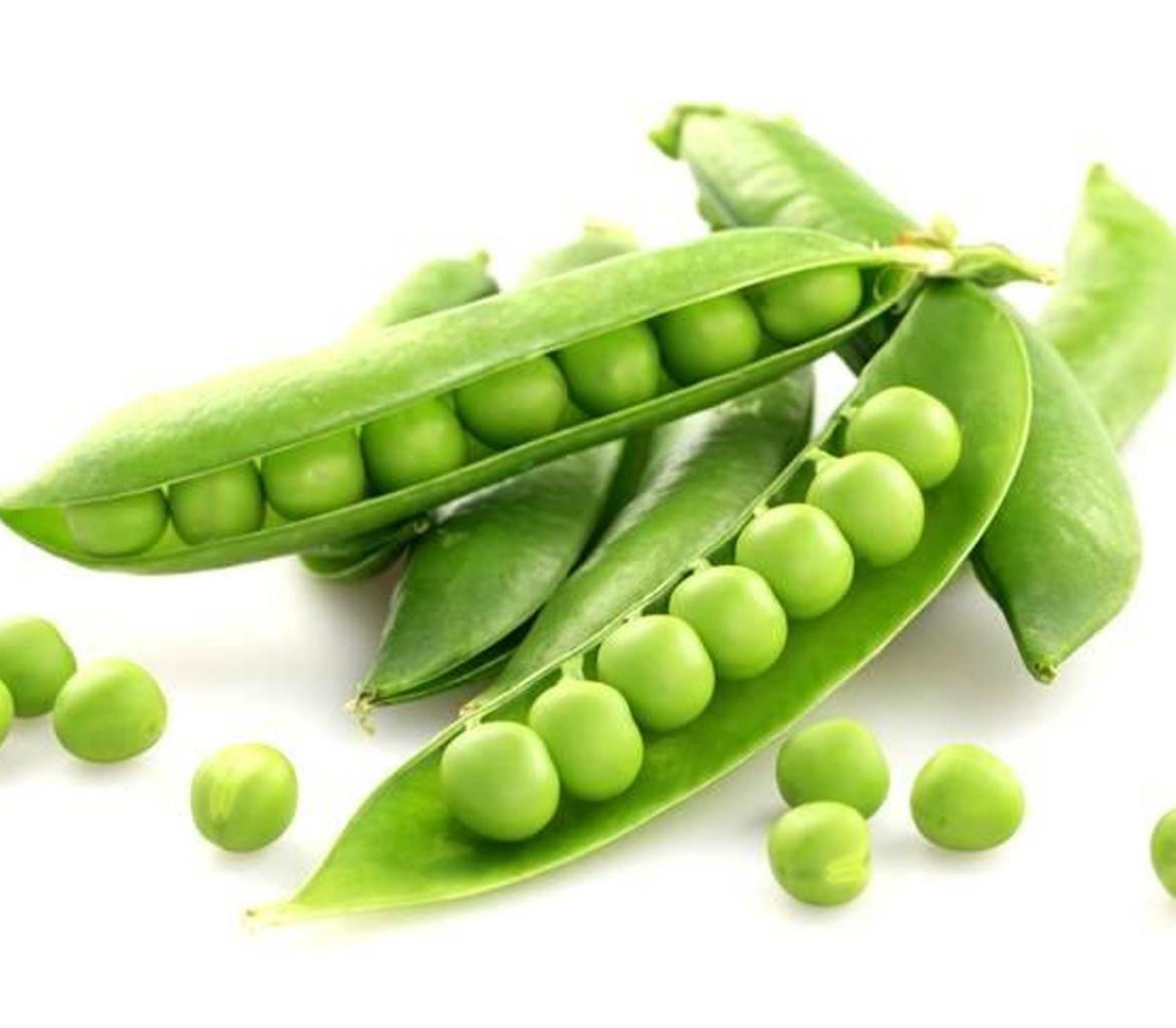 Lincoln Shell Pea Seeds/Annual/Full Sun/40 Seeds 1/4 oz/Zellajake Farm ...