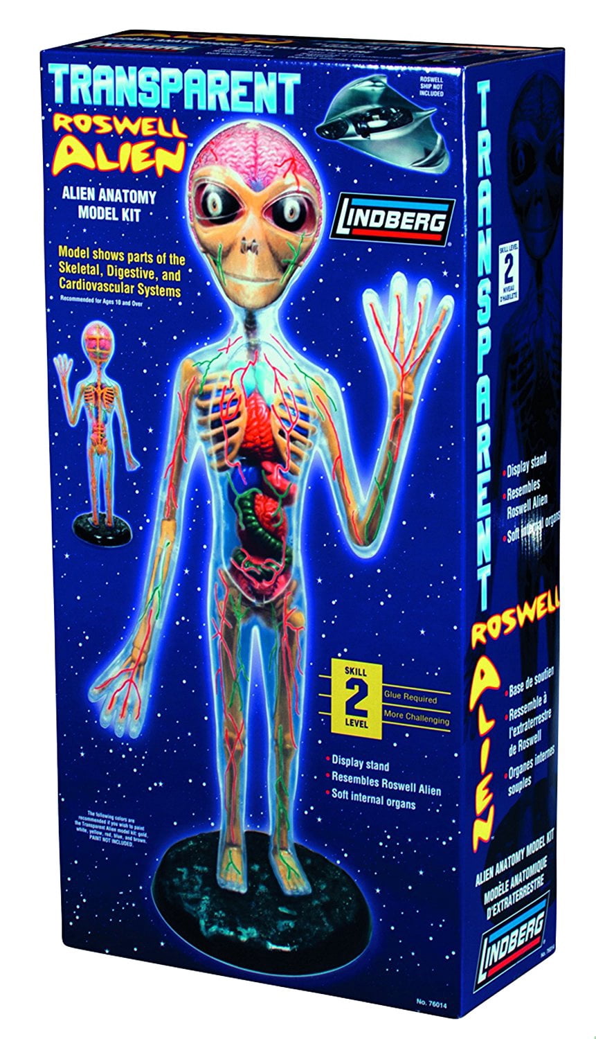 Lindberg Clear Visible Transparent Roswell Alien Anatomy Model Kit ...