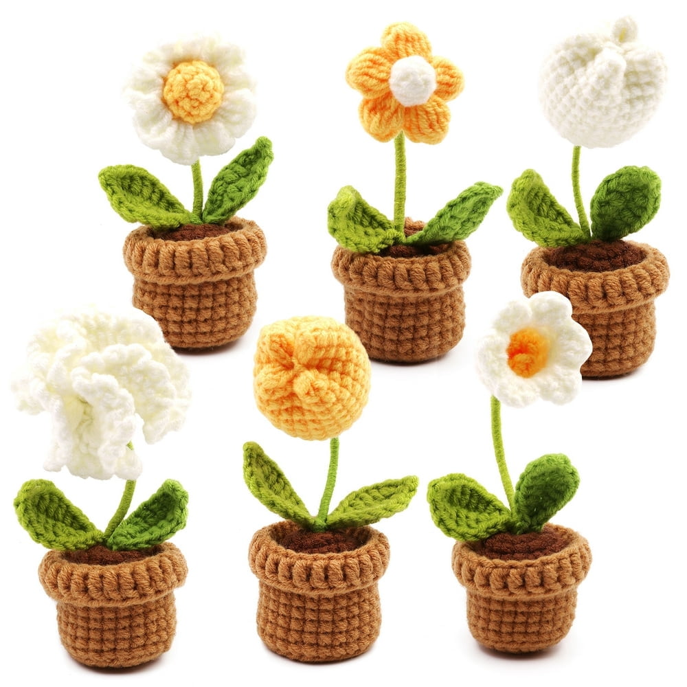 Lindbes Beginners Crochet Kit 2 Pack Cute Small Pot Kit for Beginers ...