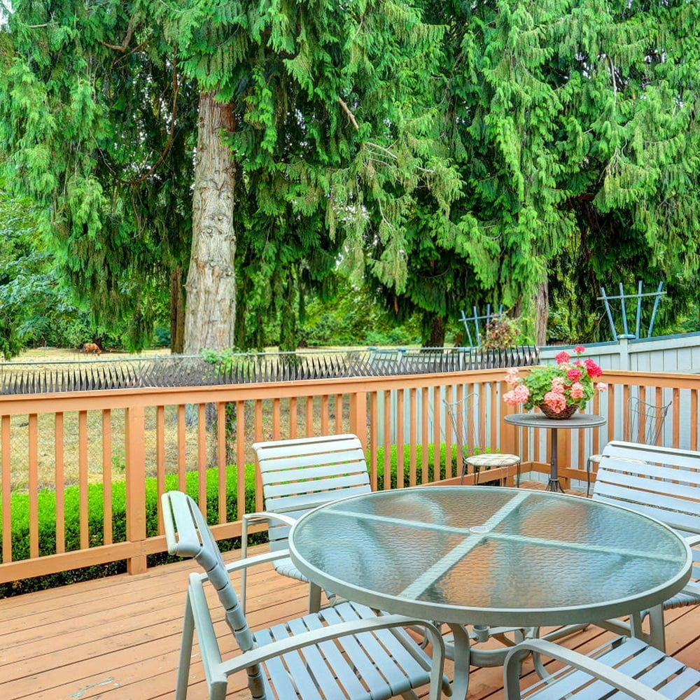 Lindbes Bird Spikes 2m/4m Bird Defender Spikes Stainless Steel Bird ...