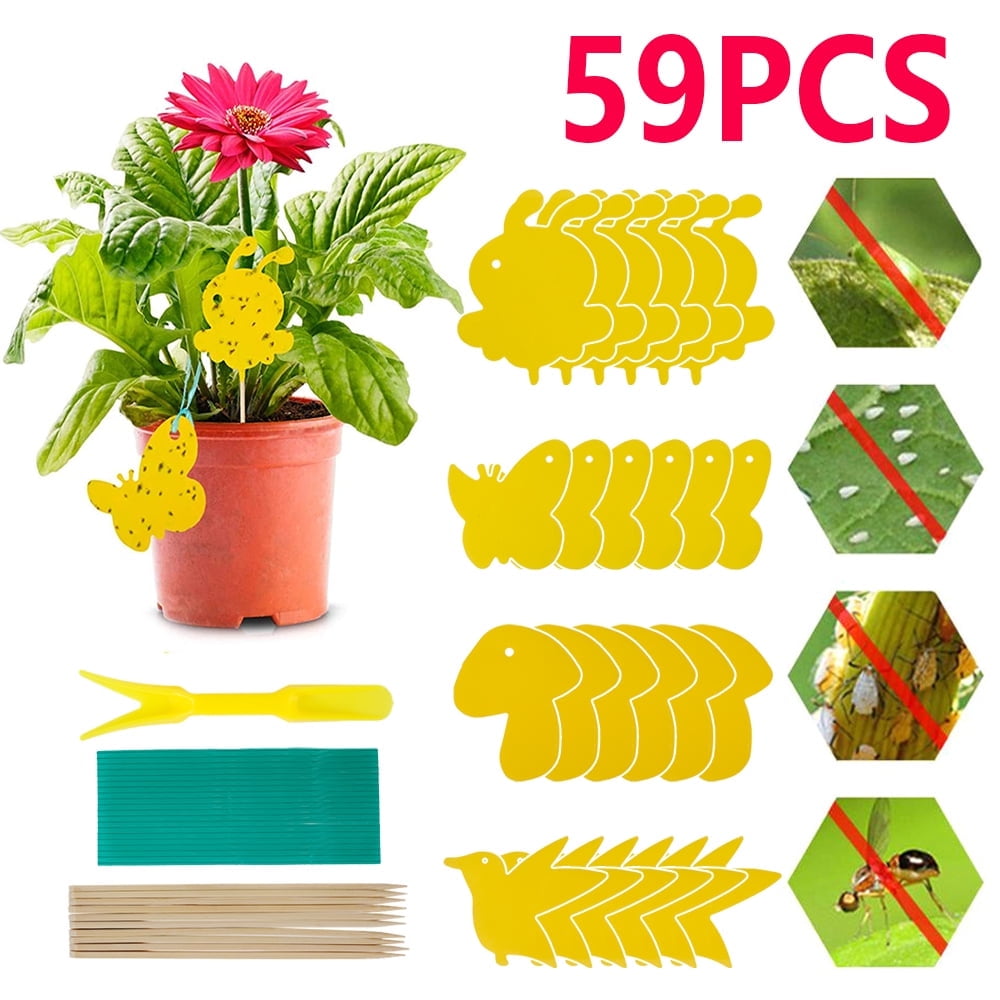 Lindbes Yellow Sticky Fly Trap Dual-Sided Sticky Trap Plastic Bug ...