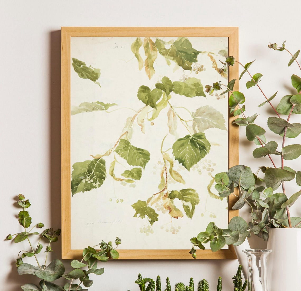 Linden Branch Poster Vintage Botanical 16x20 Poster, Unframed Poster ...