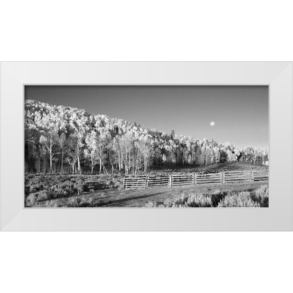 Linden, Sally 14x9 White Modern Wood Framed Museum Art Print Titled ...